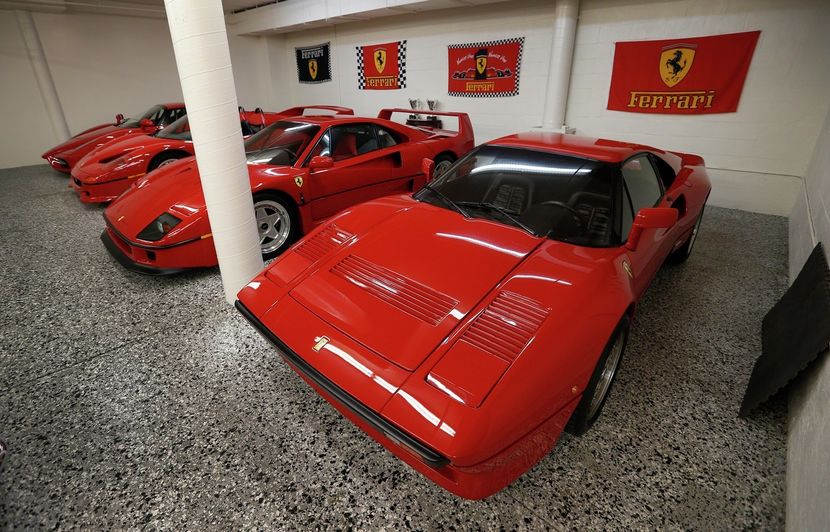 The Evoluzione of the species