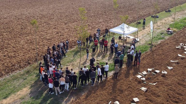 Bosco Ferrari initiative launched, featuring 30 hectares of new forest ...
